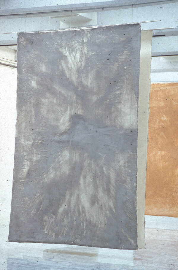 Collections | Search | Metamorphosis between Substance and Man—The ...