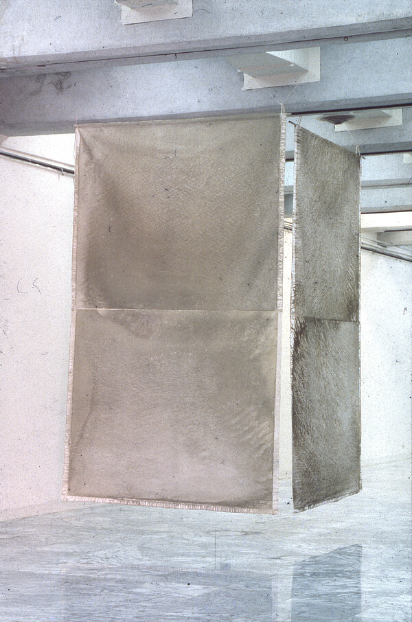 Collections | Search | Metamorphosis between Substance and Man—The ...