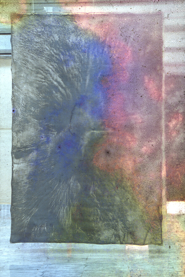 Collections | Search | Metamorphosis between Substance and Man—The ...