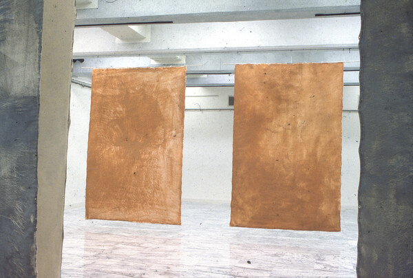 Collections | Search | Metamorphosis between Substance and Man—The ...